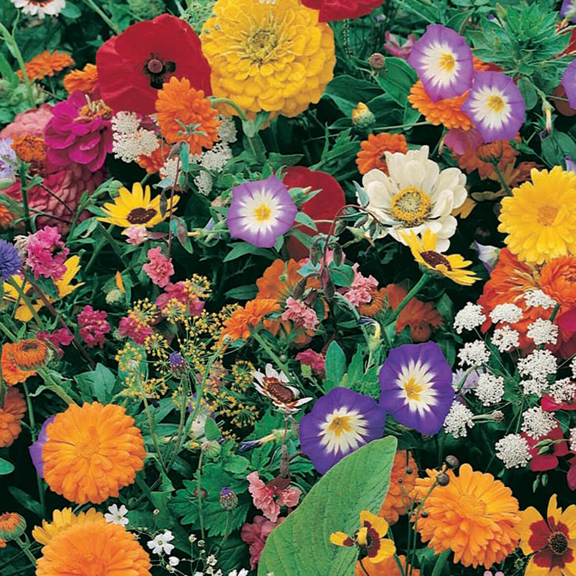 Garden Fragrance Cut Flower Roll-Out Seed Mat - Collections Etc