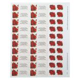 Personalized Return Address Labels & Seals – Miles Kimball