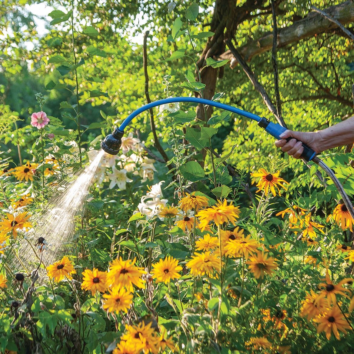 Flexible Watering Wand and Sprinkler - Watering Plants - Starcrest